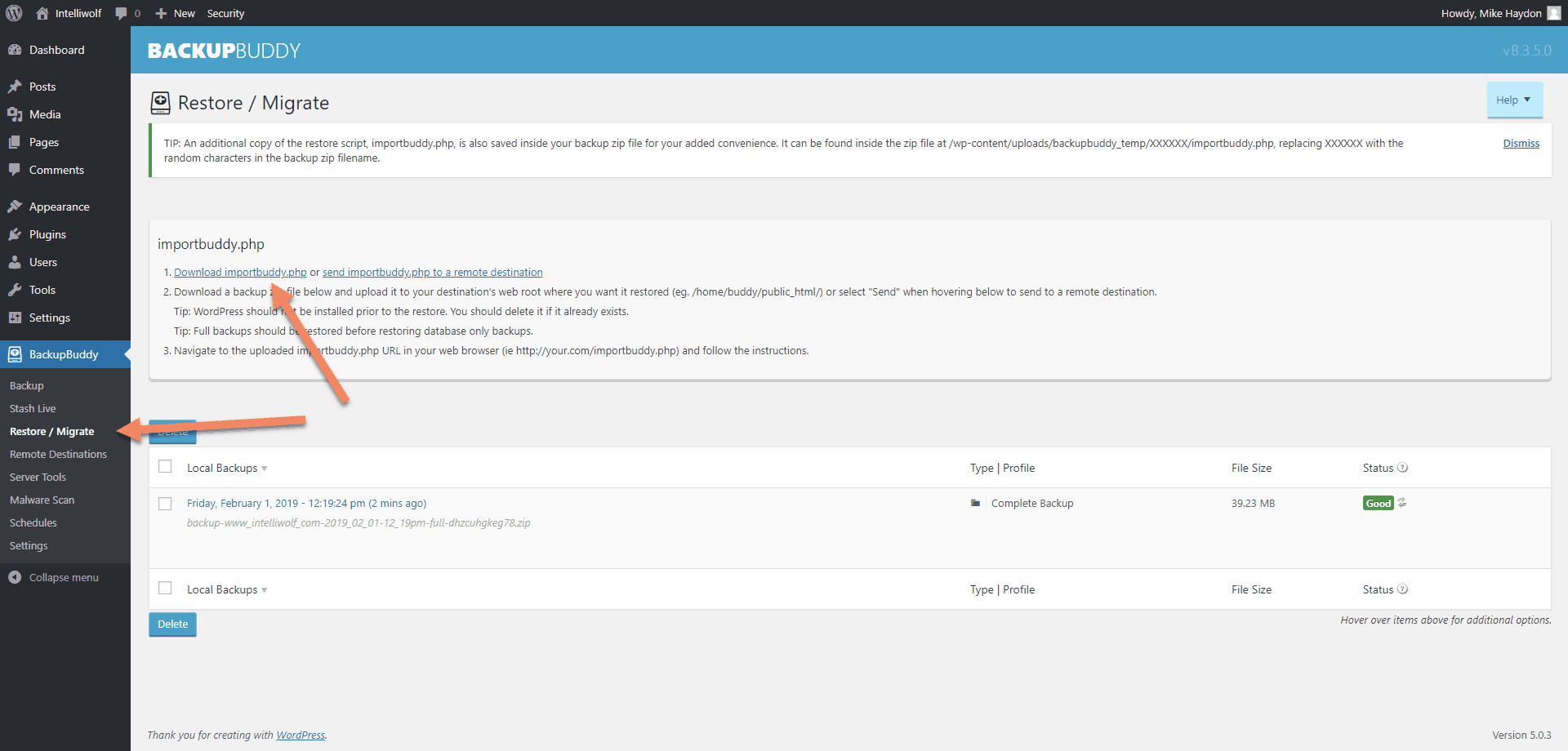 How To Migrate A WordPress Site With BackupBuddy