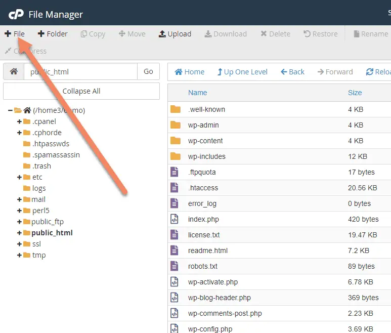 How To Edit Files In cPanel
