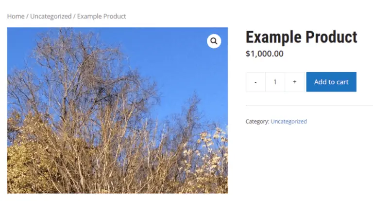 How To Disable WooCommerce Product Image Zoom