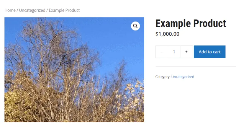 How To Disable WooCommerce Product Image Zoom